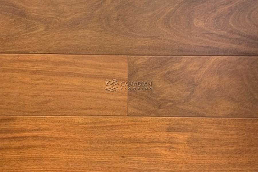 Sucupira (Brazilian Chestnut), Sunca, 5.5" x 3/4", Color: Natural